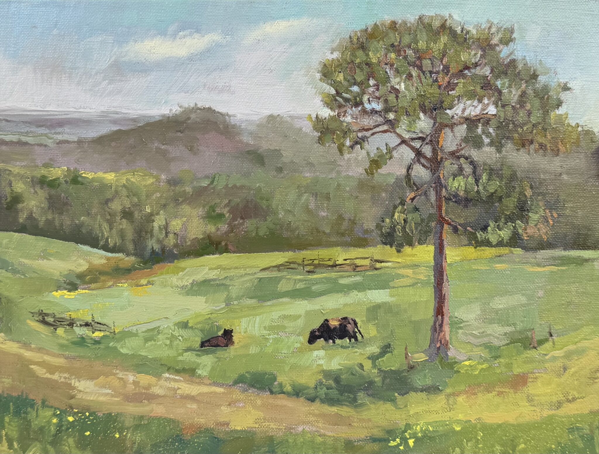 Three Trees Pasture by Meagan Thomas - Open Air Meriwether